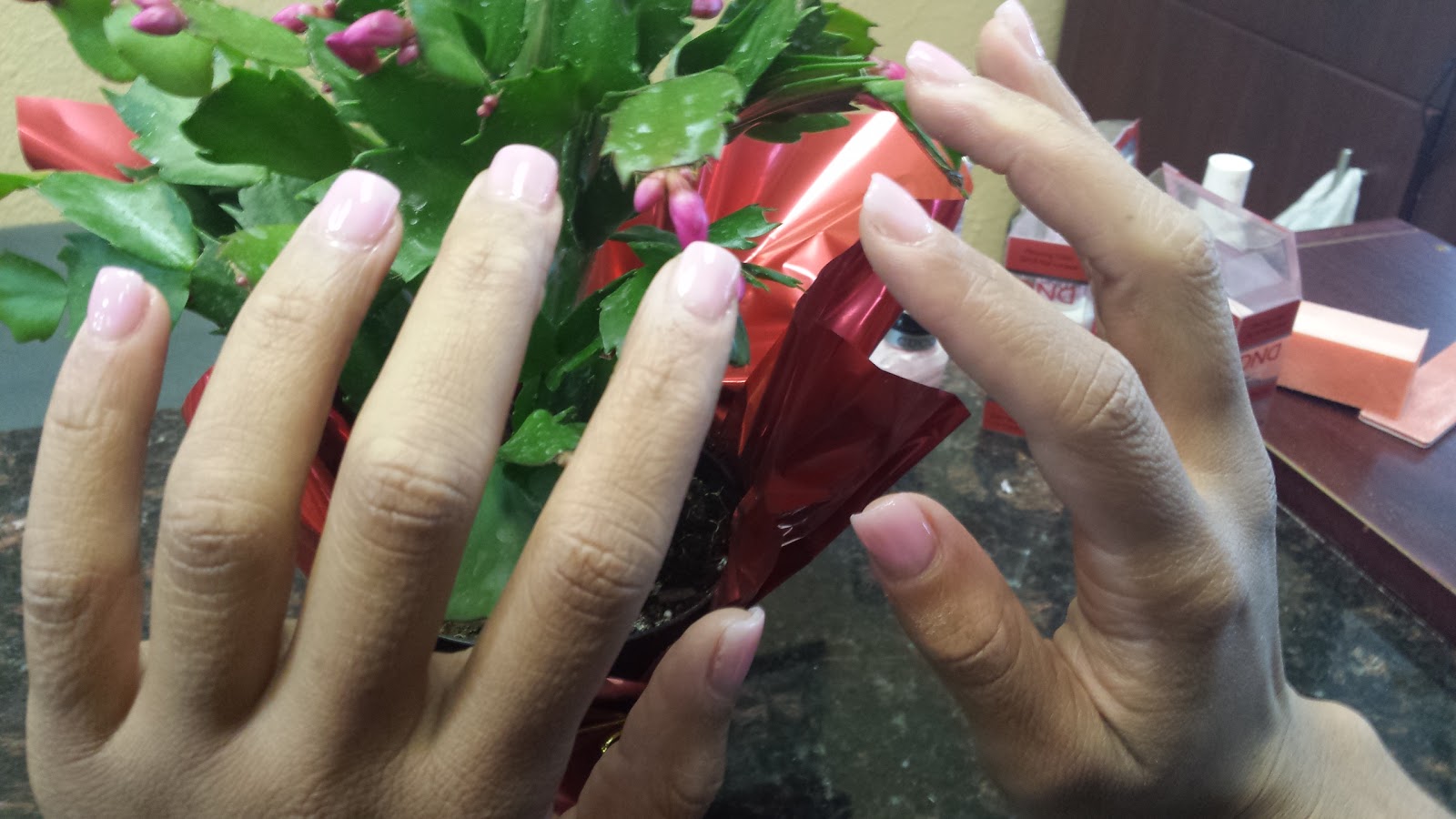 BD Nails - Plantation Local Guide | Powered by Radius®