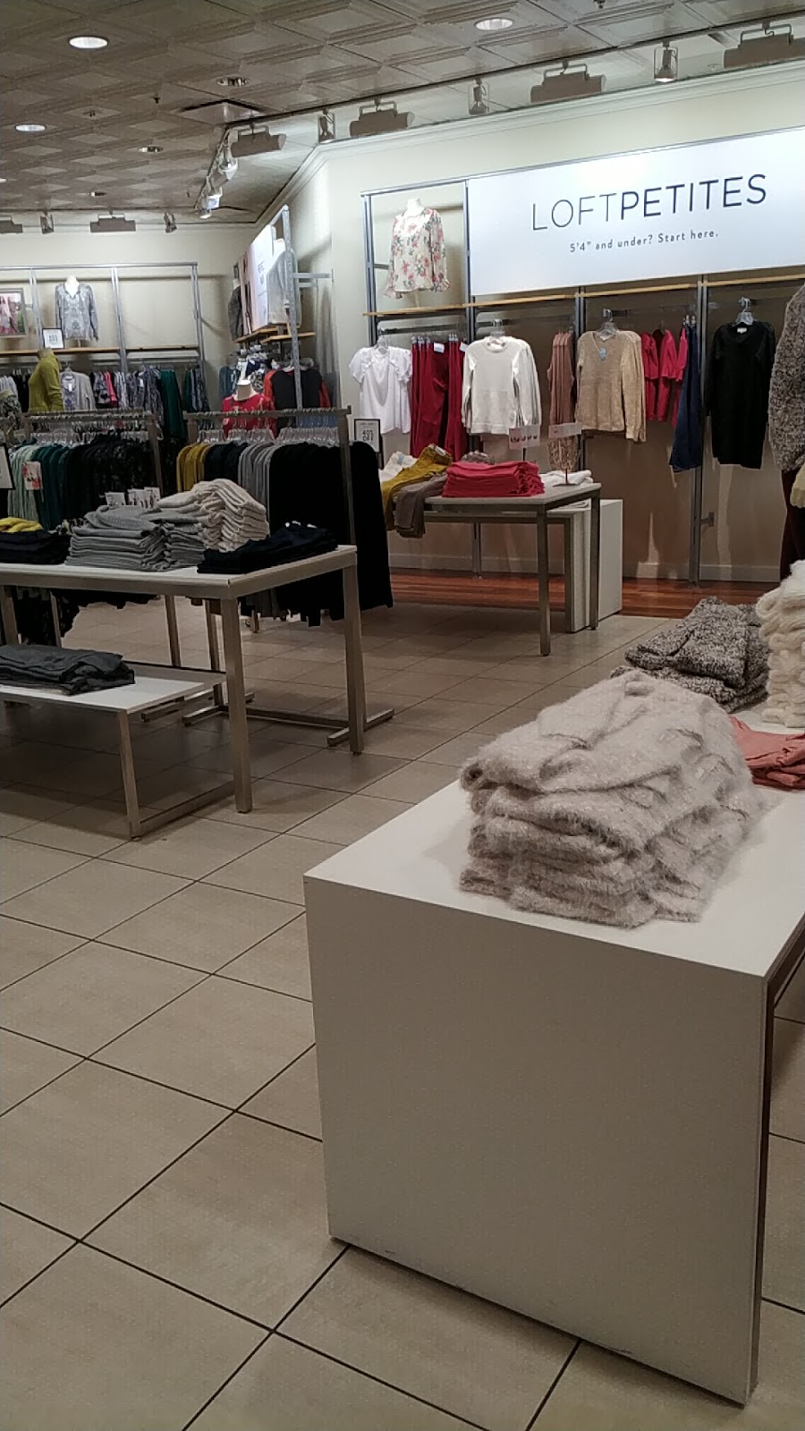 LOFT Broward Mall: Women's Clothing, Petites, Dresses, Pants, Shirts ...