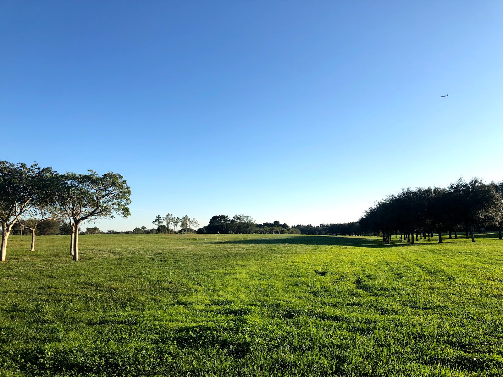 Westridge Park - Plantation Local Guide | Powered by Radius®