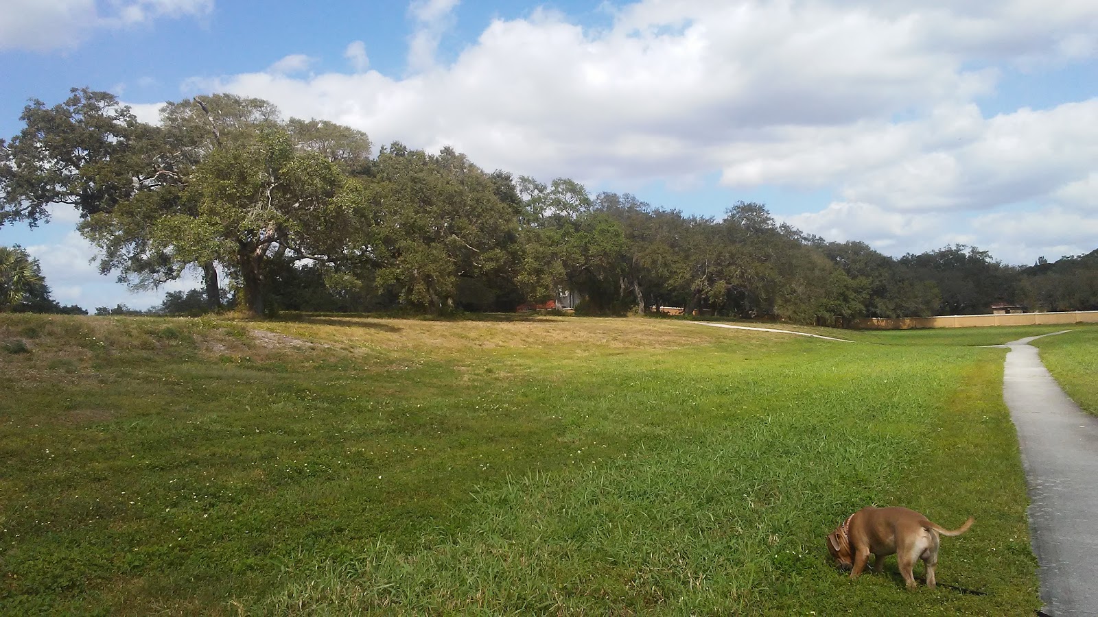 Westridge Park » Park in Plantation FL